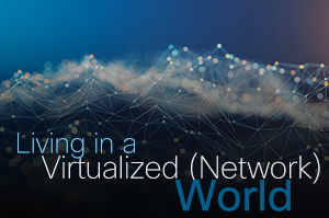 Living in a Virtualized (Network) World