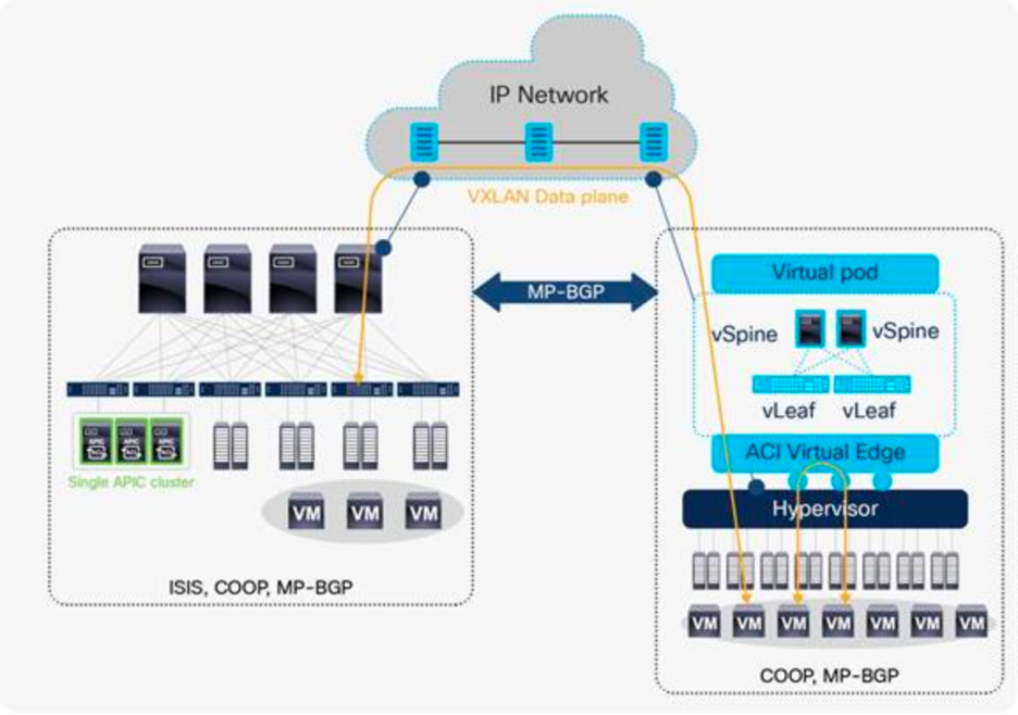 Amoebas to Zebras: The Evolution of ACI Multi-Site Features... Just for ...