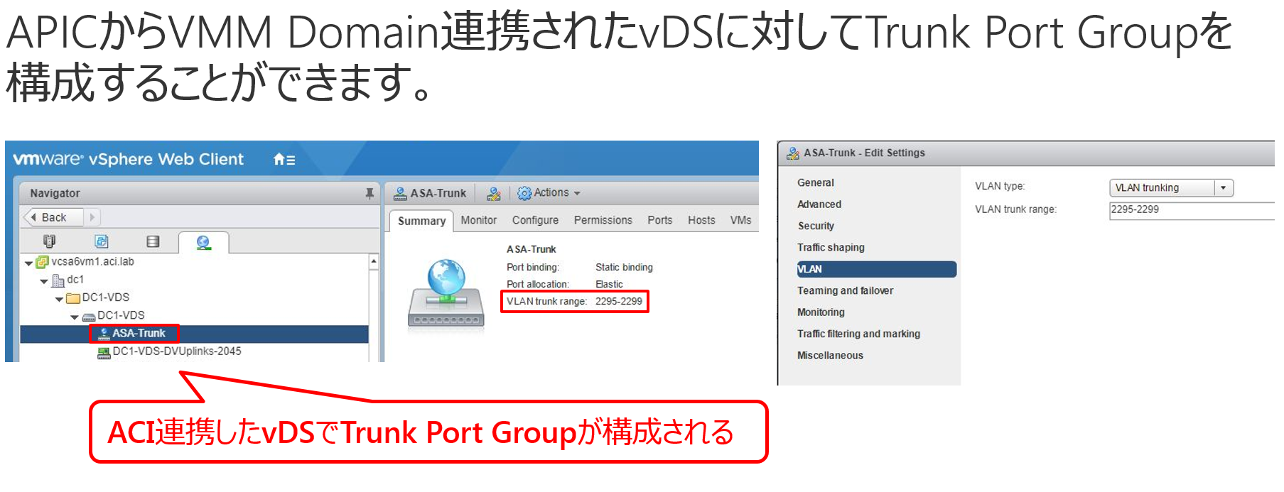 Trunk Port Group