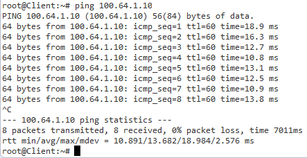 Remotely Triggered Black Hole Filtering - DoS Mitigation