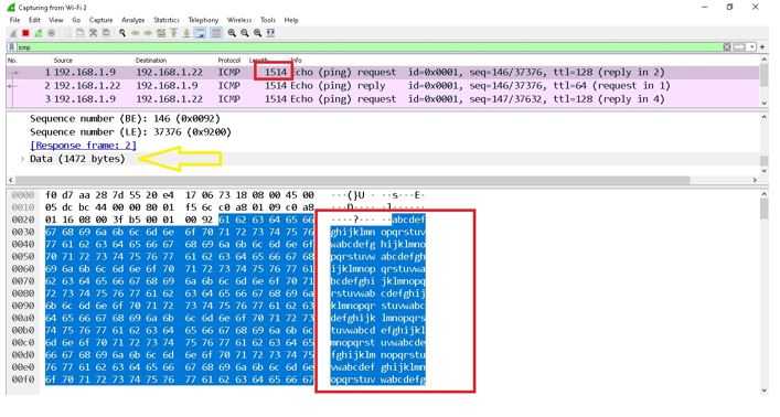 Understanding the ICMP Protocol with Wireshark in Real Time