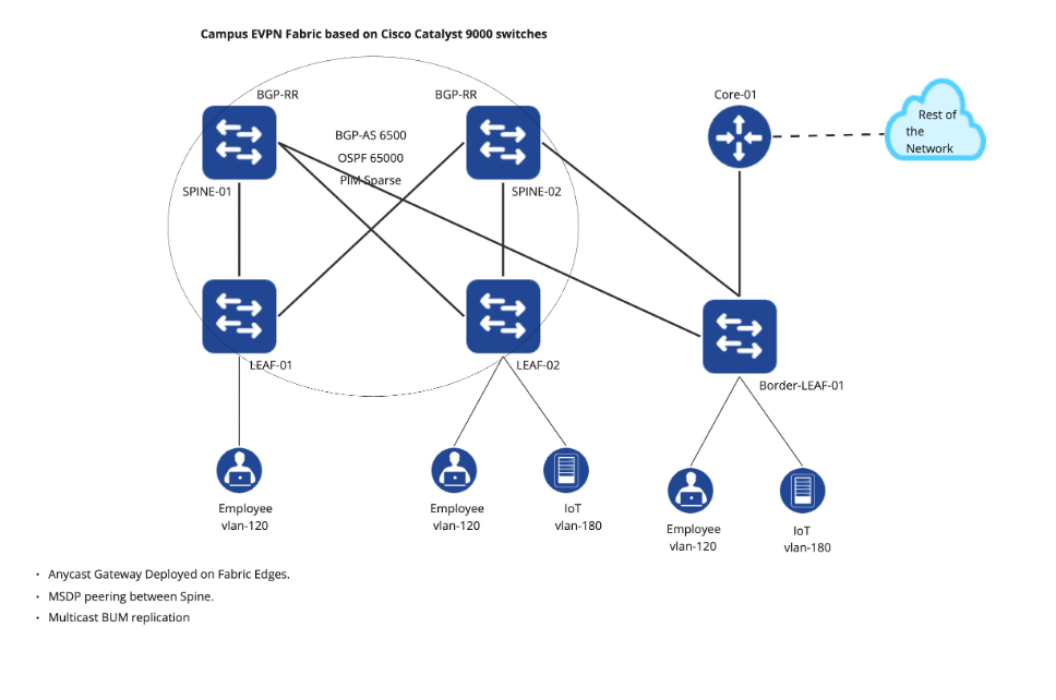 Campus EVPN Fabric Based on Cisco Catalyst 9000 Switches