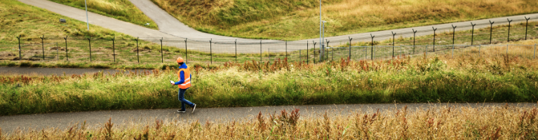 Ansible or Python: Which Should I Learn First For Network Automation?