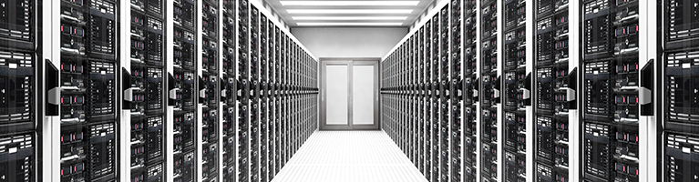 The Elephant in the Room: Networks for AI…Just for Fun!